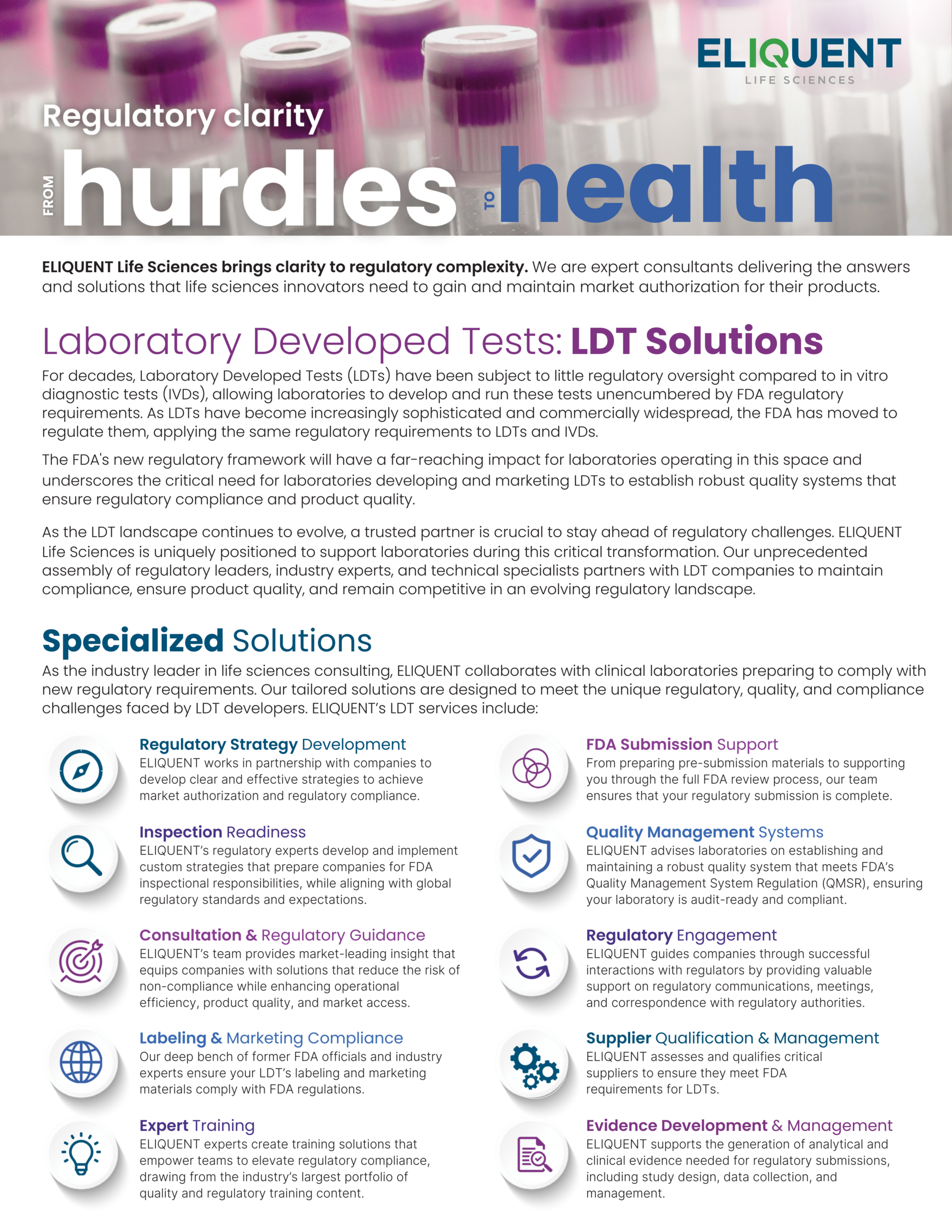 INFO SHEET: LDT Solutions - Eliquent
